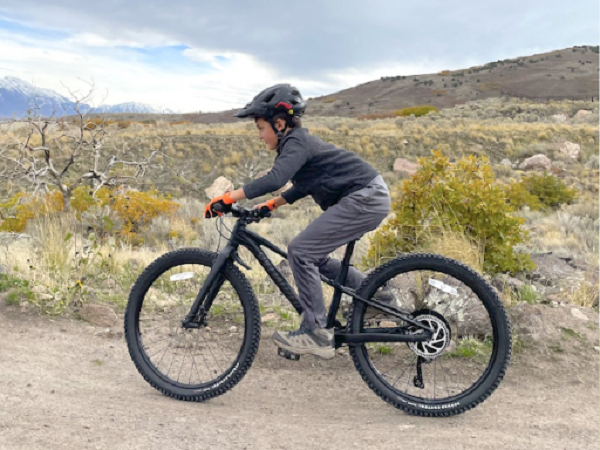 24 Inch Bike Review: 6 Best MTB and Electric Picks for 2026 – ENGWE ...
