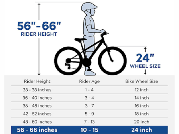 A 24 Inch Bike For What Size Person? Height and Inseam Chart – ENGWE ...