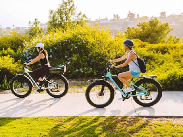 The Myth of the Free Electric Bike: How to Get a Great E-bike on a Bud ...