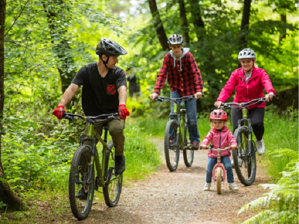 What Size is an Adult Bike? A Complete Size Chart – ENGWE Official