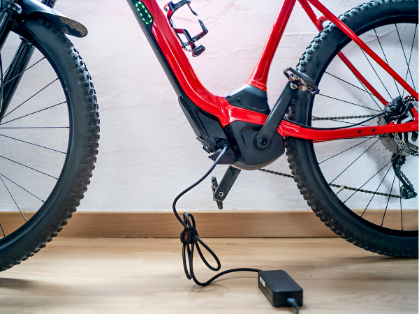 The Ultimate Guide to Ebike Chargers: Types, Voltage, and Connectors ...