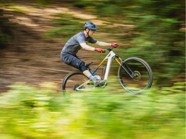 10 Standout Full Sus Ebike Picks For An Electric Mountain Bike – ENGWE ...