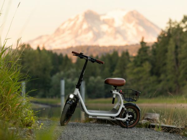Electric Mini Bike for Adults: Portable Fun for Commuters – ENGWE Official