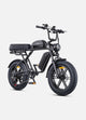 ENGWE M1 250W 65Nm 170KM Dual Passenger Electric Fat Bike