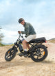 ENGWE M1 250W 65Nm 170KM Dual Passenger Electric Fat Bike