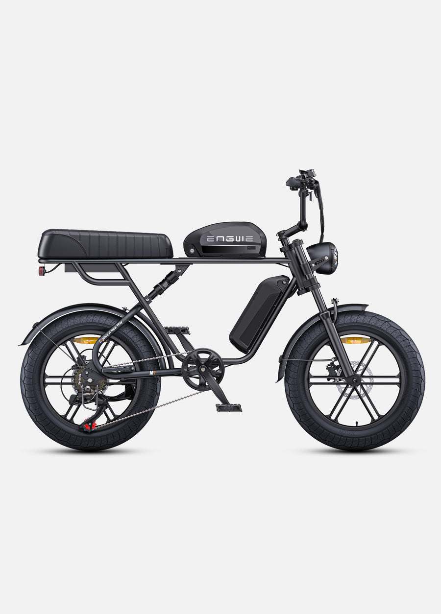 ENGWE M1 250W 65Nm 170KM Dual Passenger Electric Fat Bike