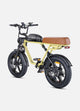 ENGWE M1 250W 65Nm 170KM Dual Passenger Electric Fat Bike