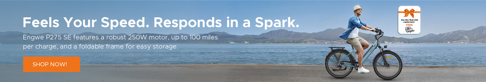 A Buyer's Guide to Specialized Ebikes for 2025 – ENGWE