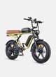 ENGWE M1 250W 65Nm 170KM Dual Passenger Electric Fat Bike