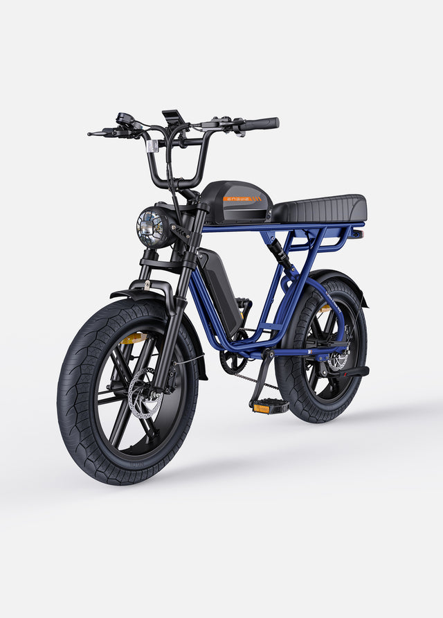 ENGWE M1 250W 65Nm 170KM Dual Passenger Electric Fat Bike – ENGWE Official