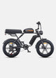 ENGWE M1 250W 65Nm 170KM Dual Passenger Electric Fat Bike