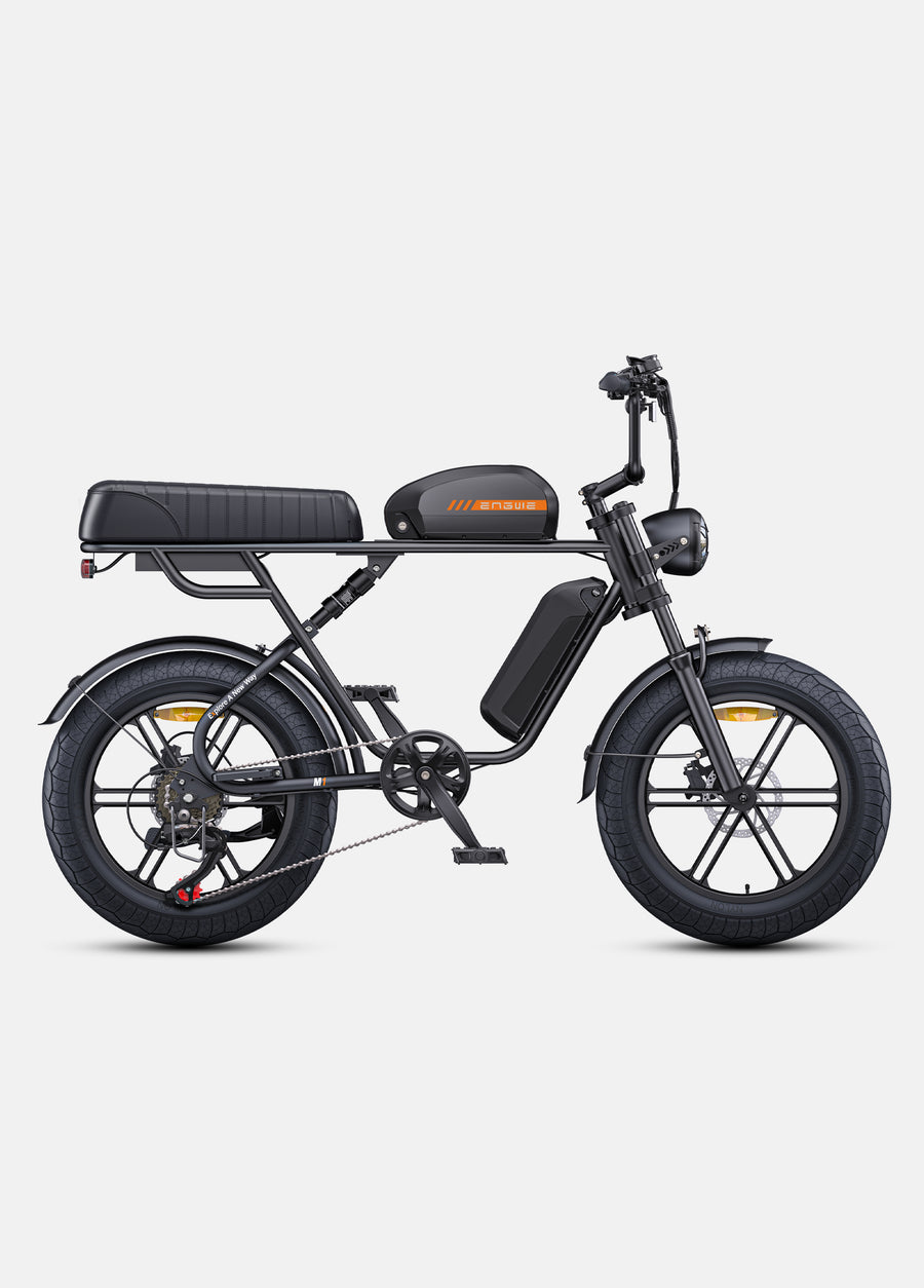 ENGWE M1 250W 65Nm 170KM Dual Passenger Electric Fat Bike