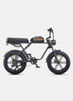 ENGWE M1 250W 65Nm 170KM Dual Passenger Electric Fat Bike