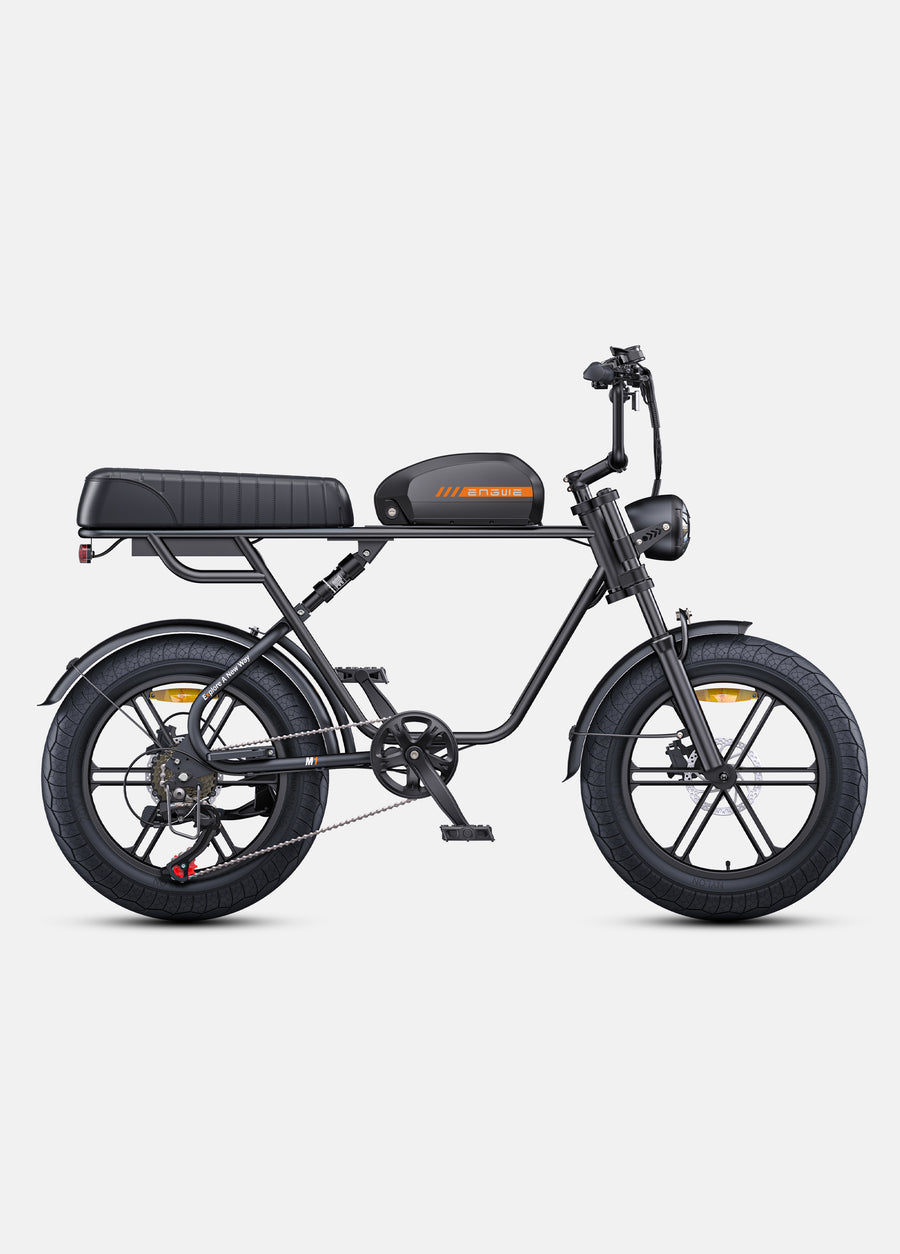 ENGWE M1 250W 65Nm 170KM Dual Passenger Electric Fat Bike