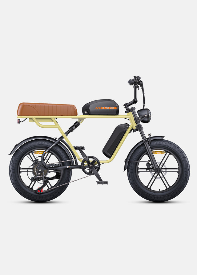 ENGWE M1 250W 65Nm 170KM Dual Passenger Electric Fat Bike
