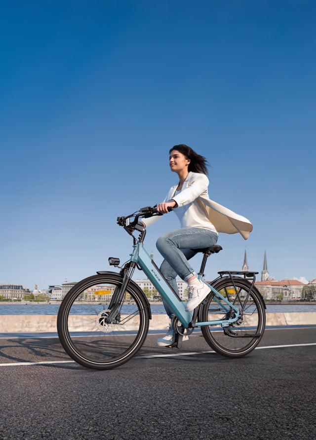 ENGWE P275 SE Electric Commuter Bike: 250W, 100km, Torque Sensor ...