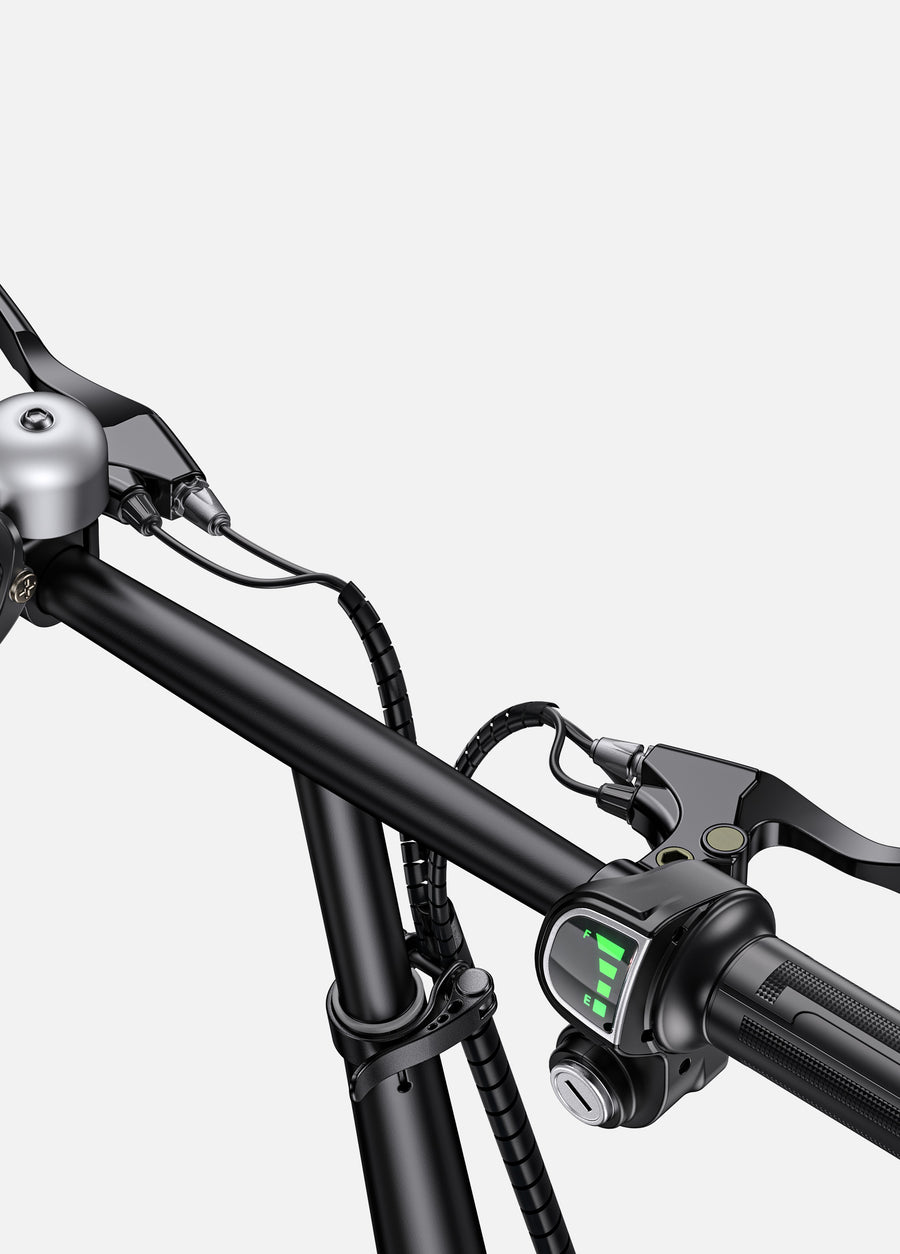 ENGWE T14 250W Hub Motor Foldable Electric Mini Bike